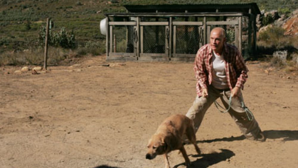 DISGRACE - Filmkrant