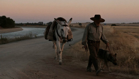 Donkeyote - Filmkrant