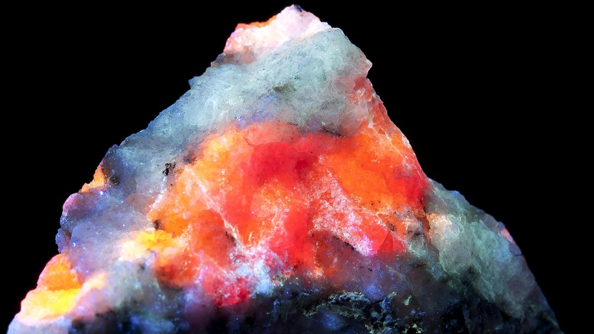 Dreamlife - Filmkrant