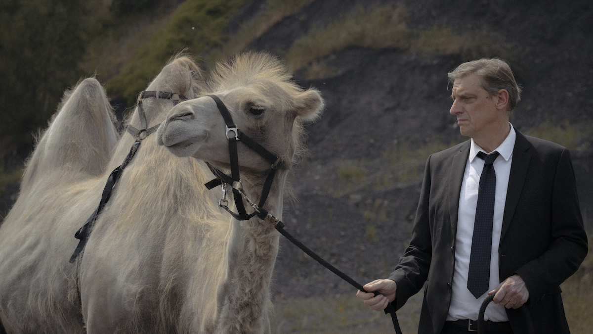 Waarom Wettelen? - Filmkrant